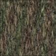 TreeBark (Texture)