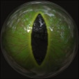Cat Eyes (Texture)