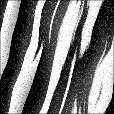 Zebra Fur (Texture)