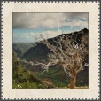 Postage stamp (Effect)