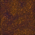 Gold Rust (Texture)