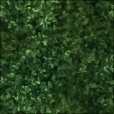 Berry bush (Texture)